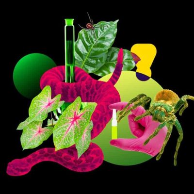 All events - BestOfWarsaw | Guide to Warsaw